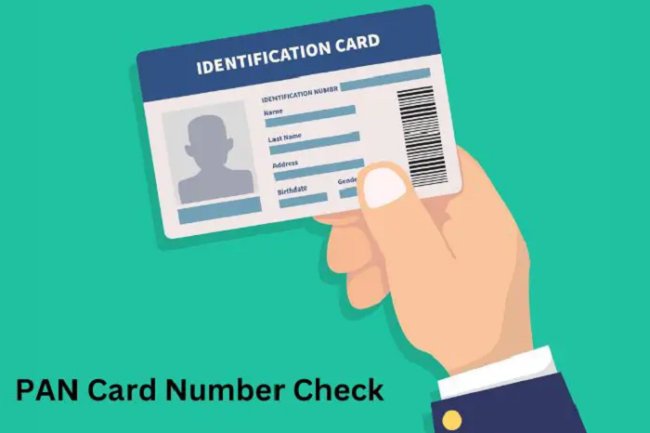 How To View Pan Card Details Online A Step By Step Guide Pan Card