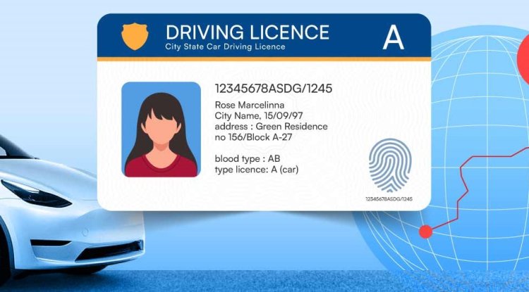 Everything You Need to Know About the International Driving Permit (IDP ...